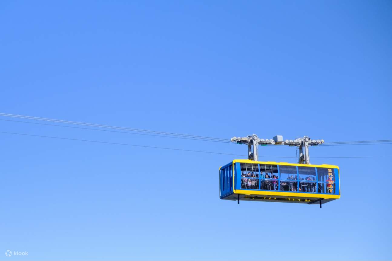 Triple Pass: Sydney Zoo, Scenic World Blue Mountains and Bridgeclimb ...